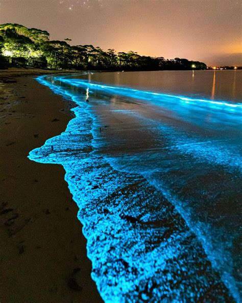 Canon Photography Bioluminescent Algae Jervis Bay Swipe To See That