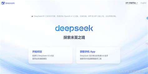 大模型应用开发一：如何调用deepseek的api？ 0门槛（如何调用大语言模型api来构建自己的服务？） 语言模型 崔崔崔崔崔不灭 deepseek技术社区