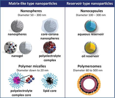 Figure 2 From Polymer Nanoparticles For Nanomedicines A Guide For