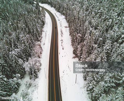 겨울한동안 야생의 눈 덮인 소나무 숲을 운전하는 자동차가 있는 아스팔트 도로 0명에 대한 스톡 사진 및 기타 이미지 0명 겨울 경관 Istock
