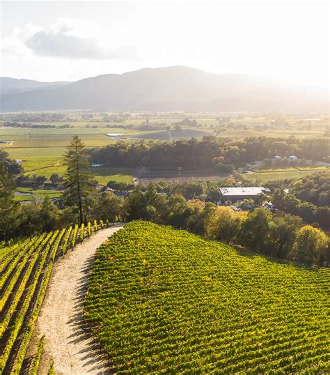 Rutherford Hill Winery Products 2023 Carneros Chardonnay
