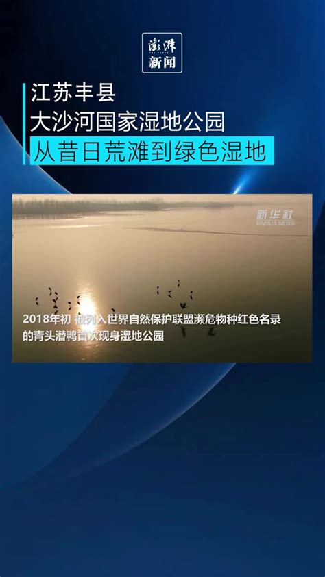 大沙河湿地公园，昔日荒滩变生态旅游目的地 凤凰网视频 凤凰网