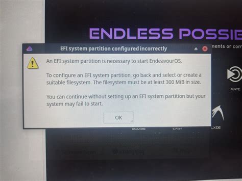 EFI System Partition Warning During Installation EndeavourOS Installation EndeavourOS