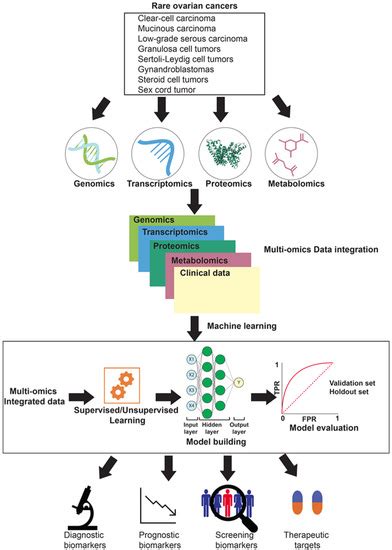 Biomedicines Special Issue The Omics Techniques In Obstetrical Pathologies