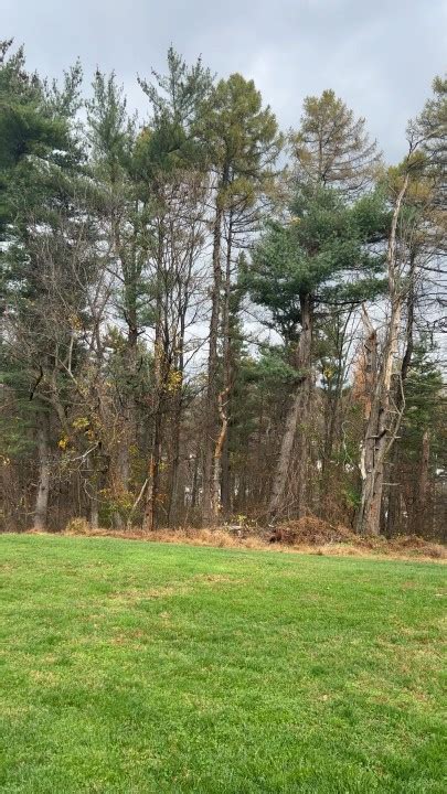 Michael Vencel On Linkedin Comportunplugged Team Learning Culture