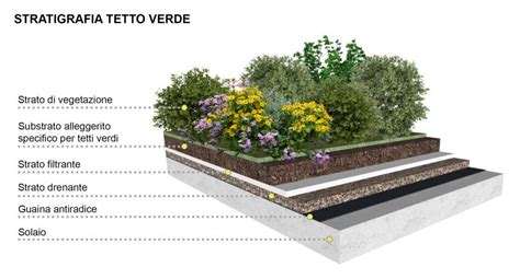 I Tetti Verdi Un Approfondimento Anthemis Environment