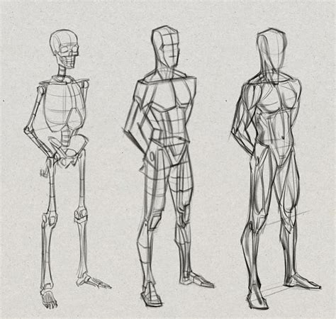 460 Human Figure Drawing And Figure Drawing Ideas To Save Today Human