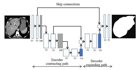 A Well Known Cnns Architecture U Net Is Designed To Automaticaly Download Scientific Diagram