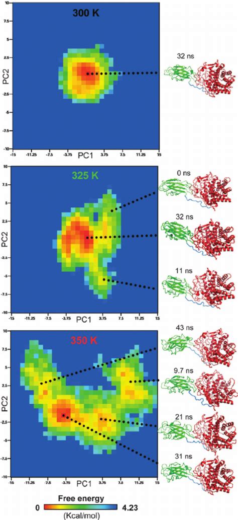 Free Energy Landscape Fel Analysis And Representative Structures From