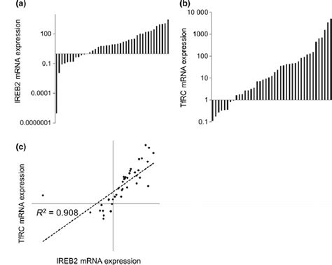Iron Regulatory Protein 2 Irp2 And Tfrc Are Both Overexpressed In
