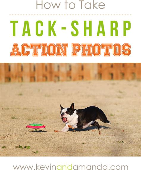 How To Take Tack Sharp Action Photos Avoiding Blurry Pictures