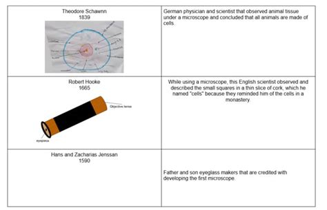6th Grade Cell Theory Query Scientists Timeline Tpt