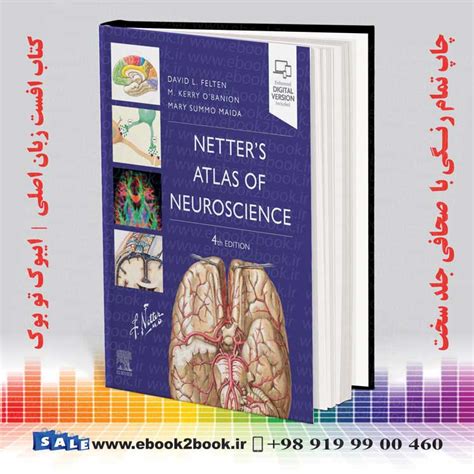 Netters Atlas Of Neuroscience 4th Edition فروشگاه کتاب ایبوک تو بوک