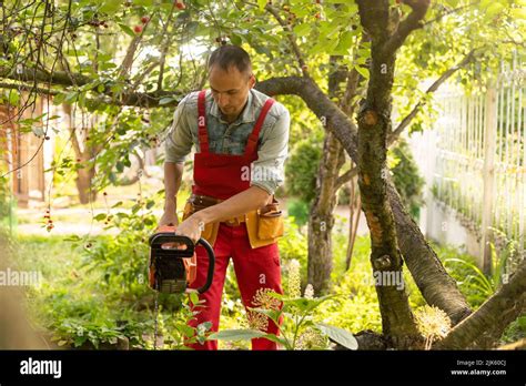 Cutting Tree Branches With A Pole Chain Saw Stock Photo Alamy