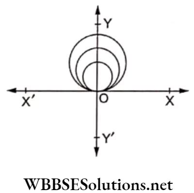 WBCHSE Class 12 Maths Solutions For Differential Equations WBBSE