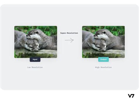 image processing techniques types and applications [2023]
