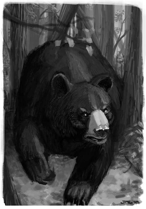 Black Bear Dungeons And Dragons By Zelldweller On Deviantart