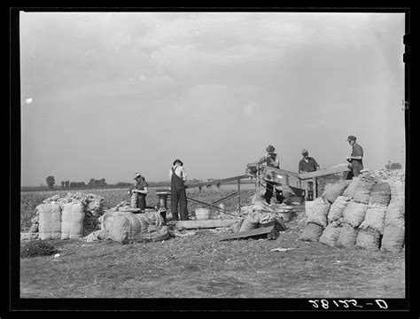 Rice Pack Images Free Photos Png Stickers Wallpapers And Backgrounds