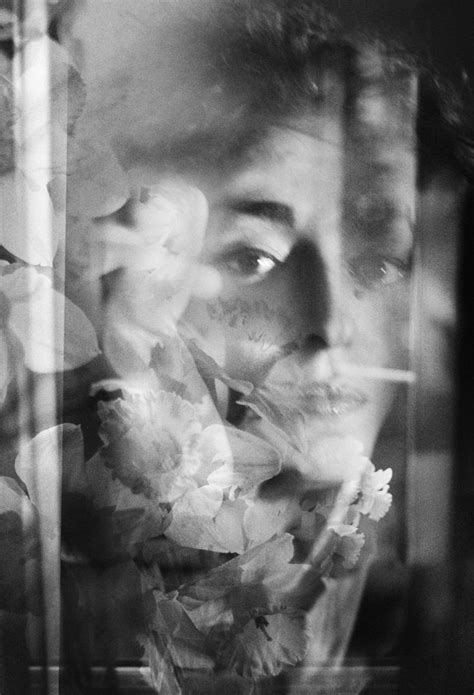 Roseline Delacour Shadow Artofit