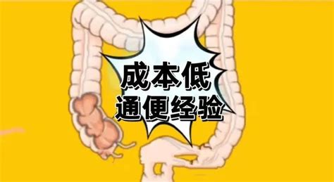 痔疮肉球脱出疼痛难忍怎么办学会这2招便秘好了痔疮肉球消失了平均每天只用几 哔哩哔哩