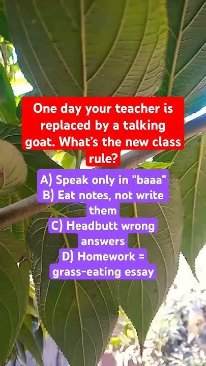 Whats The New Class Rule Youtube