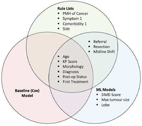 Figure 21 From Building An Interpretable Machine Learning Classifier For The Prediction Of