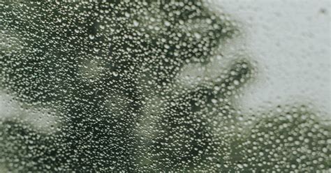 비로 덮인 창문을 통해 보이는 나무의 모습 사진 Unsplash의 비오는 날씨 이미지