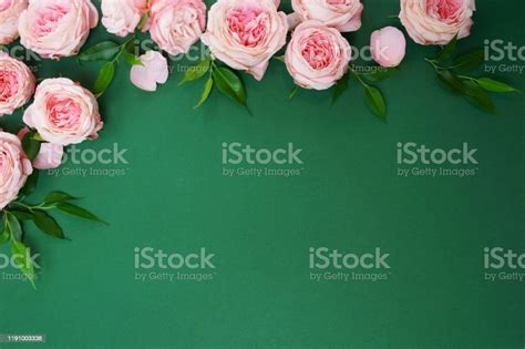 꽃 조성 테두리 배경입니다 녹색 백그롭에 아름다운 핑크 장미 맨 위 보기 공간을 복사합니다 꽃 카드입니다 휴일 꽃 개념입니다 0명에 대한 스톡 사진 및 기타 이미지 Istock