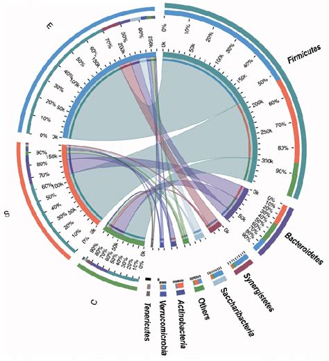 Distribution Of The Microbial Communities In Each Group At The Phylum Download Scientific