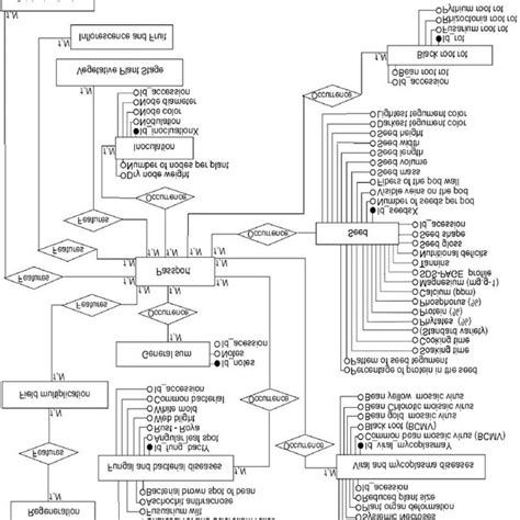 Cardinality In Entity Relationship Diagram Cardinality Er Di