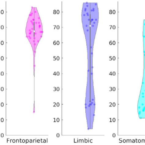 The Analysis Overview Structural Connectivity Matrix C And Distance