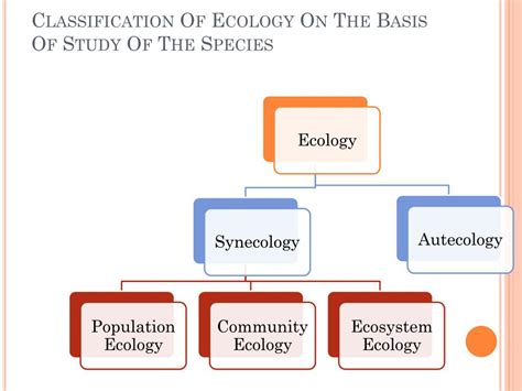 Ppt Ecology Powerpoint Presentation Free Download Id2100461