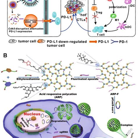 Ph Responsive Crispr Cas9 Delivery Nanoformulations With Ph Sensitive