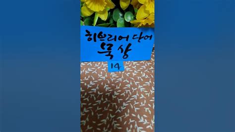 히브리어 단어 묵상 보다 Youtube