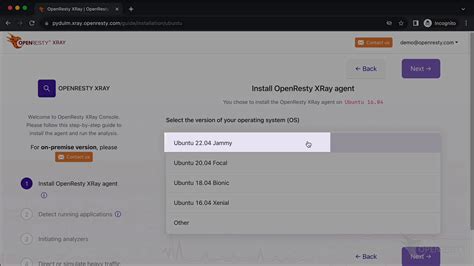 Install Openresty Xrays Agents On Ubuntu Via Deb Packages Openresty