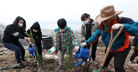 지구를 위한 나무 심기