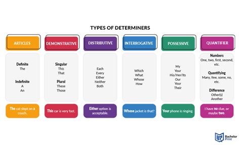 Determiners ~ Guide Types And Practice Sheet