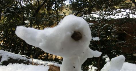 ツタージャ 雪ージャ 風鈴@不定期のマンガ Pixiv ツタージャ 雪ージャ 風鈴@不定期のマンガ Pixiv