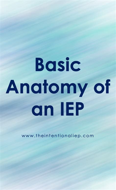 Basic Anatomy Of An Iep Artofit