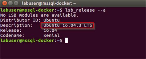 Installing And Using Mssql Cli On Linux For SQL Server