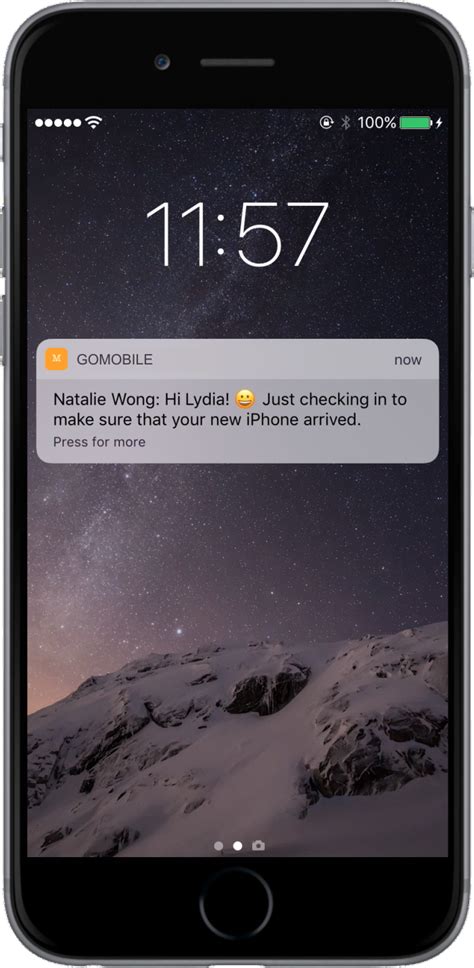 Mobile App Messaging Sdk For Ios — Overview Liveperson Developer Center