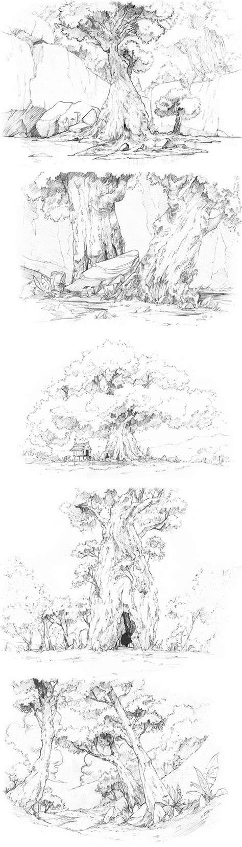 76 Best Pencil Drawing Of Trees Images On Pinterest Drawing Trees Drawing And Tree Drawings