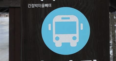 고양이 눈 올빼미 친구