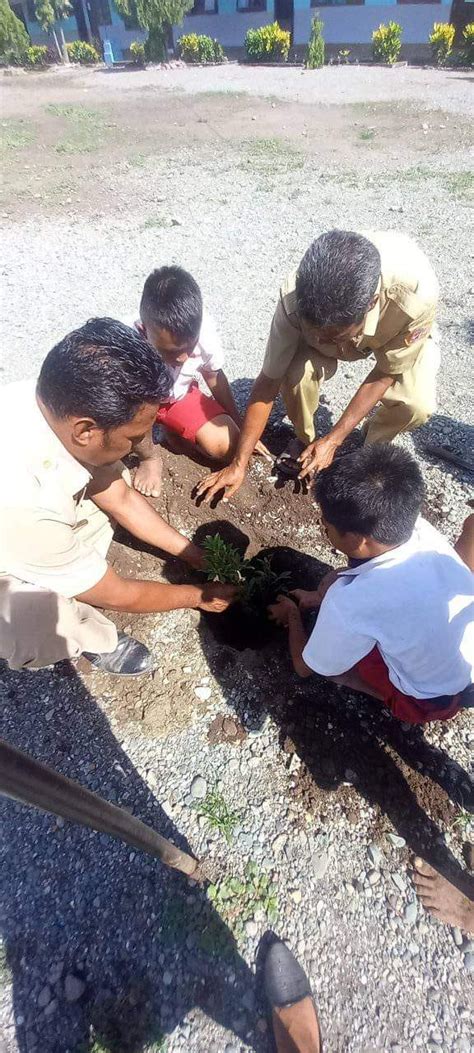 Sdi Soliu Menindaklanjuti Program Desa Soliu Tanam Beringin 5 Pohon By Lingkar Amfoang Medium