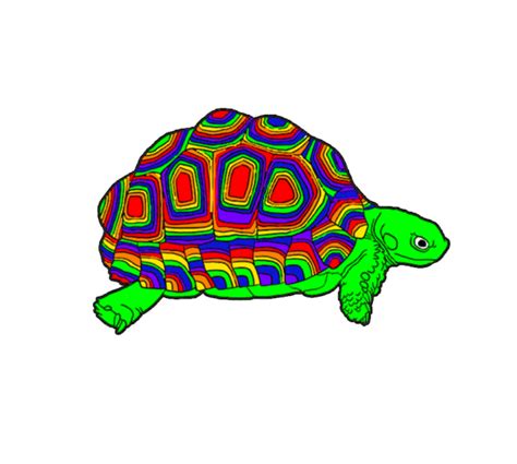 Gopher Tortoise Sticker Narked Scuba