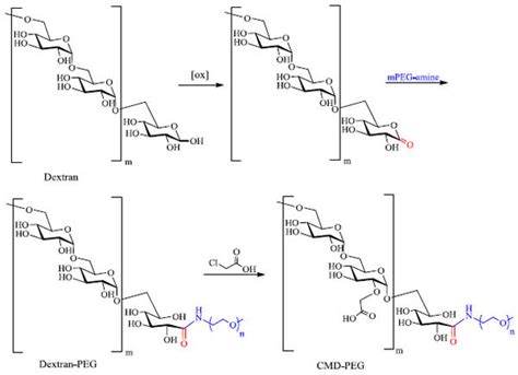 Scheme 13 Synthesis Of Dextran Peg And Cmd Peg Download Scientific Diagram