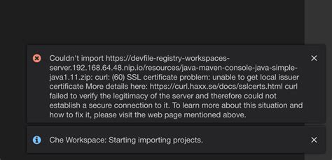 Fail To Start Sample Workspaces When Using A Custom TLS Certificate