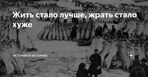 Жить стало лучше жрать стало хуже Истории от историка Дзен