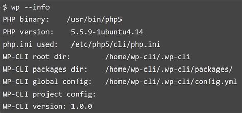 WordPress Command Line Everything You Need To Know