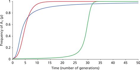 Allele Frequency Graph